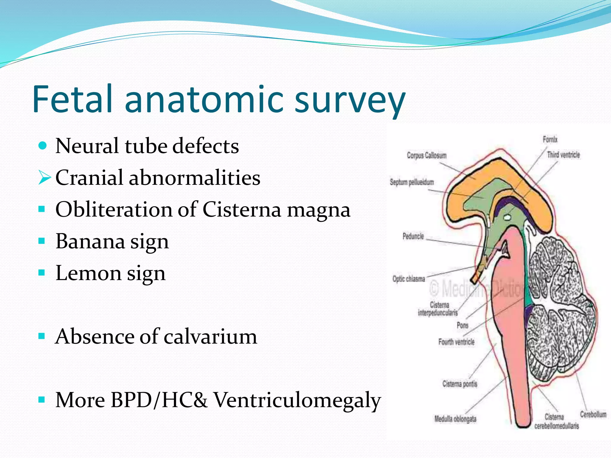 Ultrasonography in pregnancy | PPTX