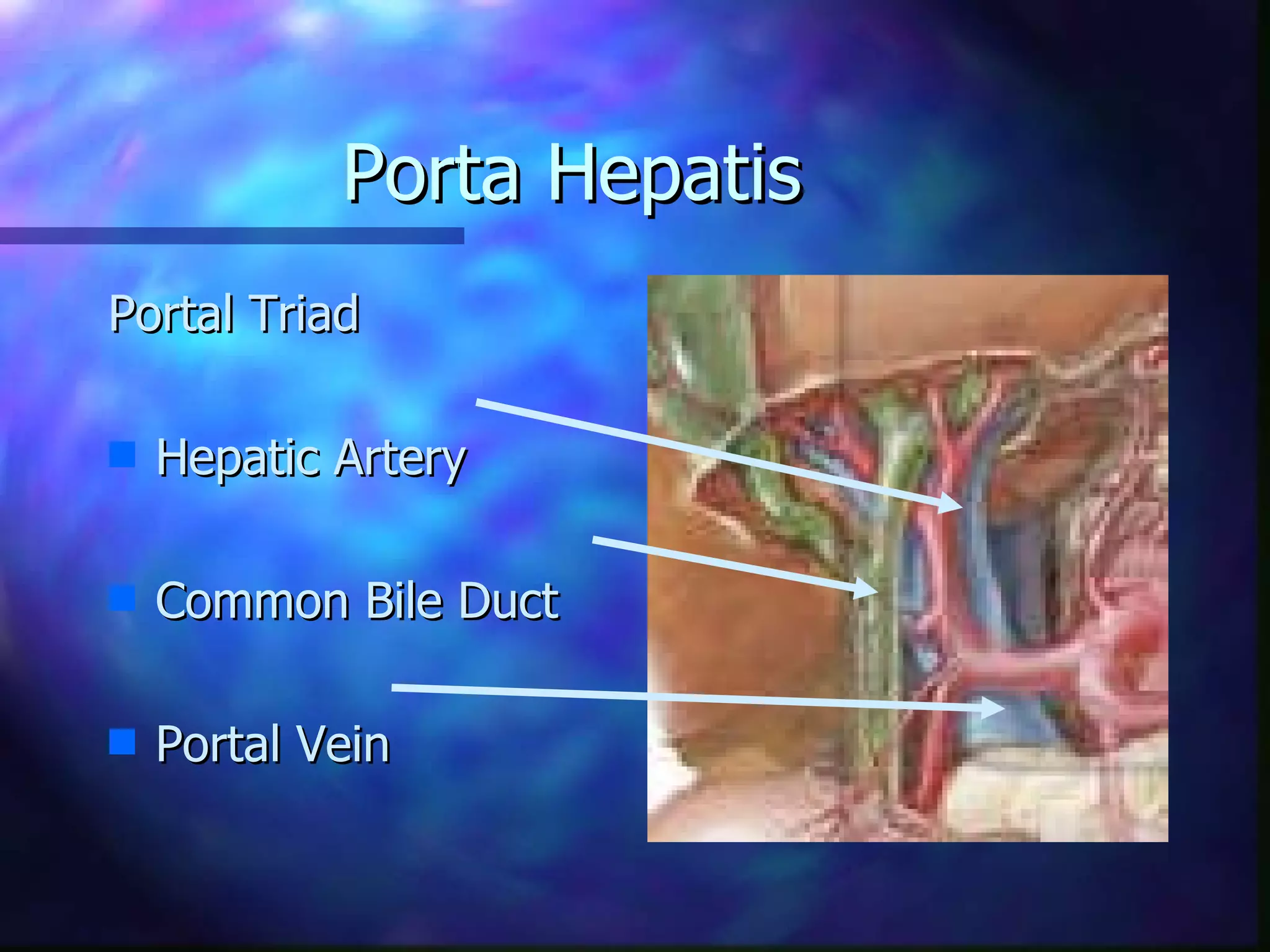 Ultrasound | PPT