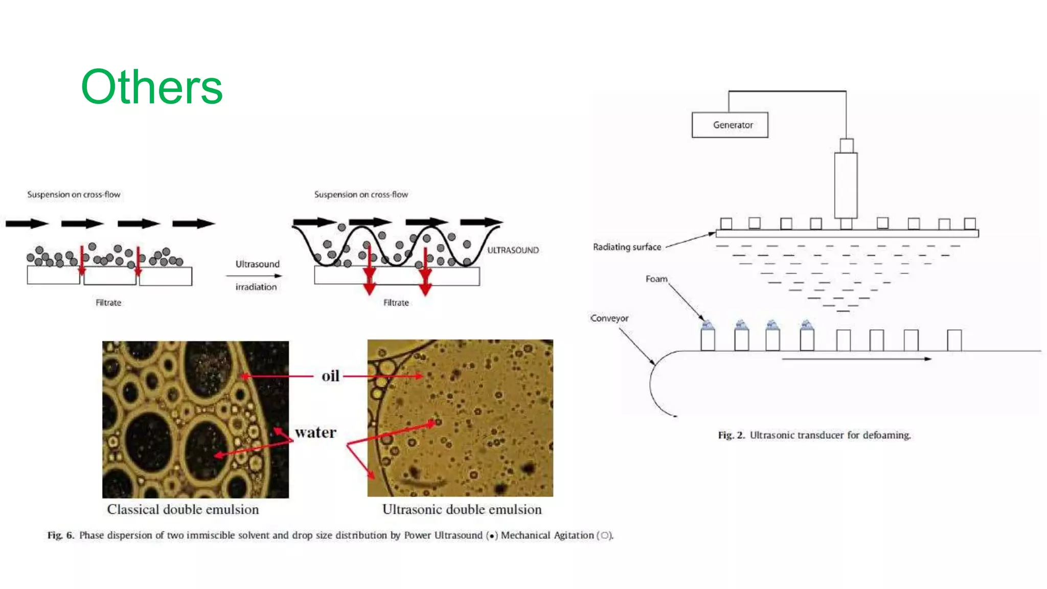 Ultrasound in Food | PPTX