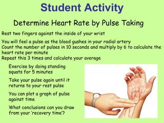 Ultrasound powerpoint presentation radio | PPT