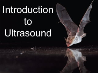 ultrasound lecture notes power poin.pptx