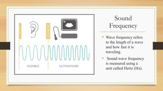 Ultrasound Presentation_powerpoint presentation | PPT