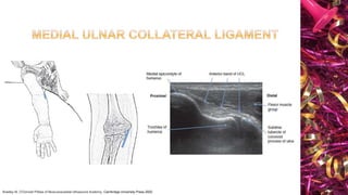 Ultrasound Guided Elbow Injections | PPTX