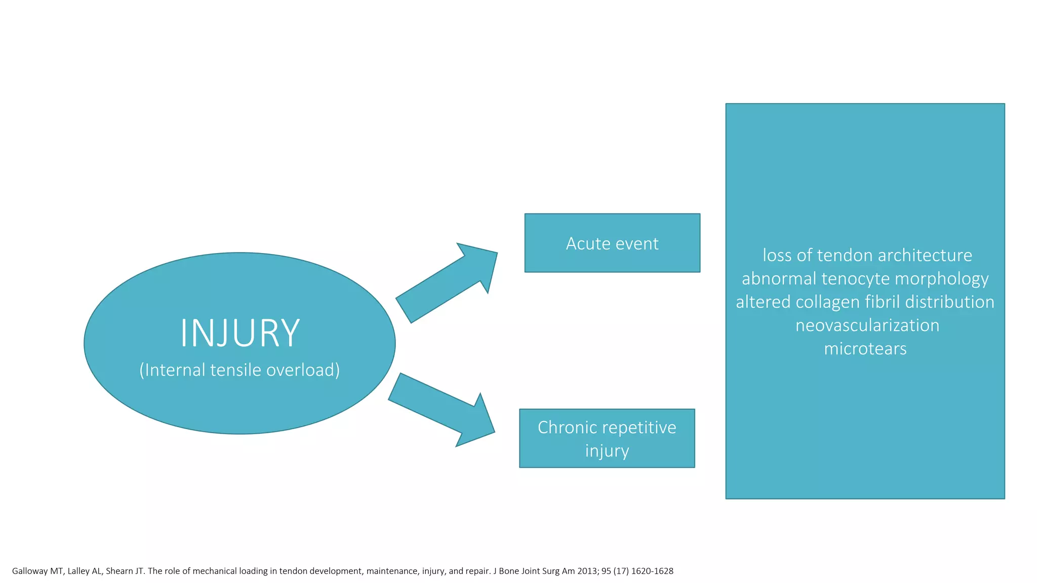 Ultrasound-Guided Percutaneous Tenotomy | PPTX