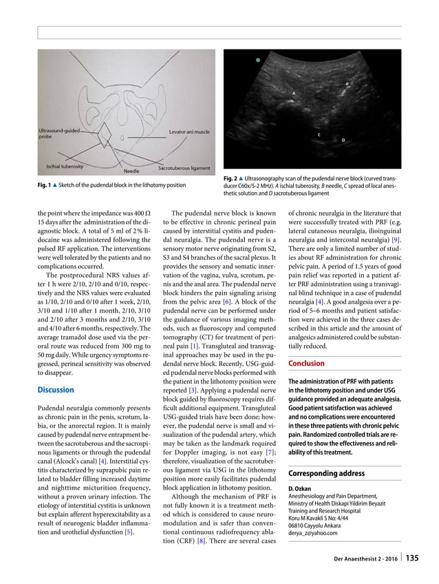 Ultrasound guided pulsed radiofrequency treatment of the pudendal nerve in chronic pelvic pain | PDF