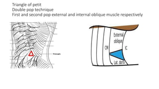 Ultrasound guided truncal blocks | PPTX