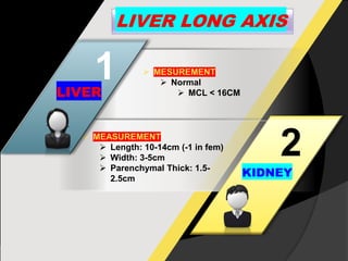How to do Liver Ultrasound | PDF