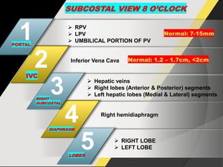 How to do Liver Ultrasound | PDF