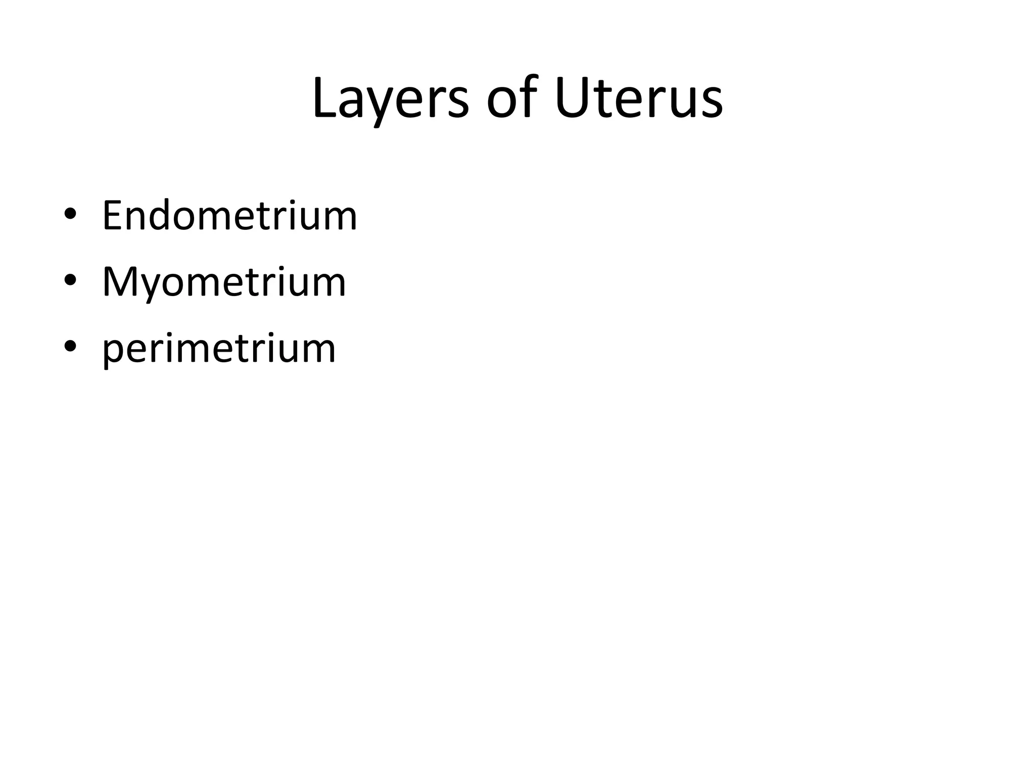What is uterus Layers of Uterus and 2.pptx