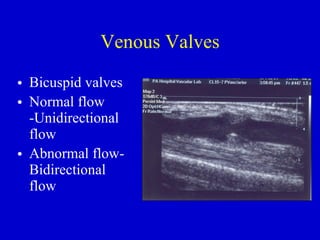 Ultrasound Assessment Of Chronic Venous Disease | PPT