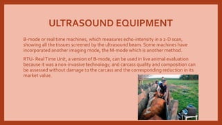 Ultrasound B- Mode Imaging | PPTX