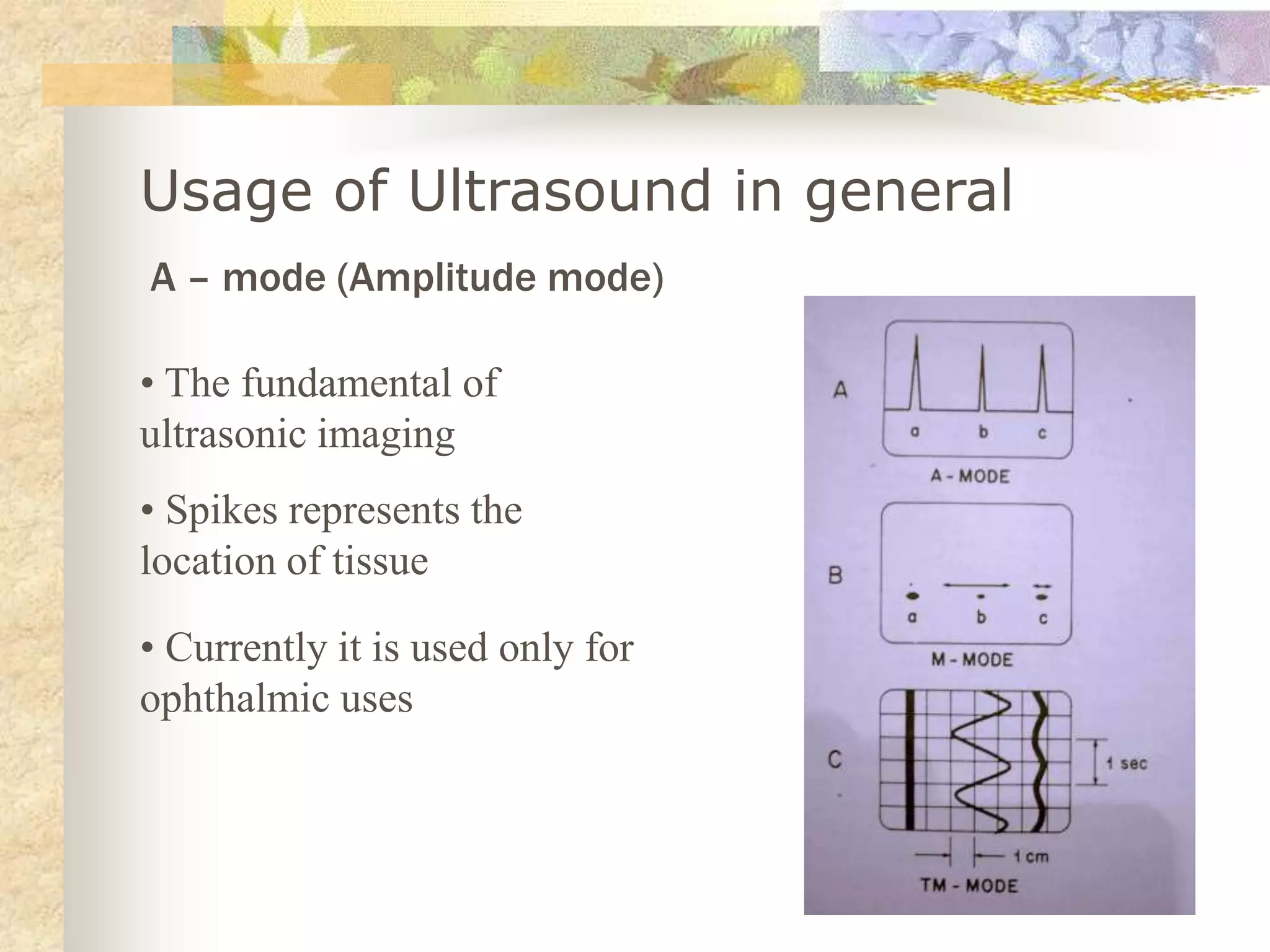 Basics of Diagnostic Ultrasound | PPT