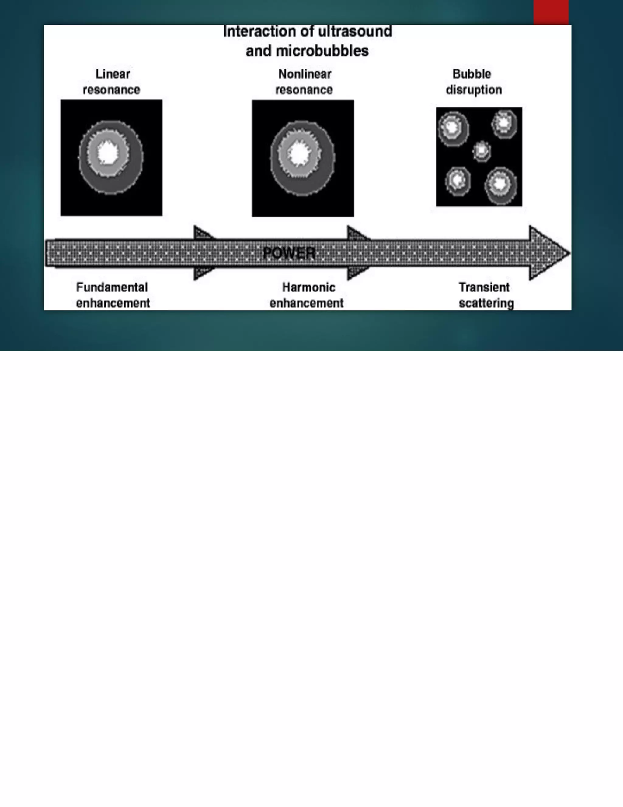 Ultrasound Contrast agent .ppt
