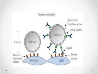 Ultrasound contrast agents | PPTX