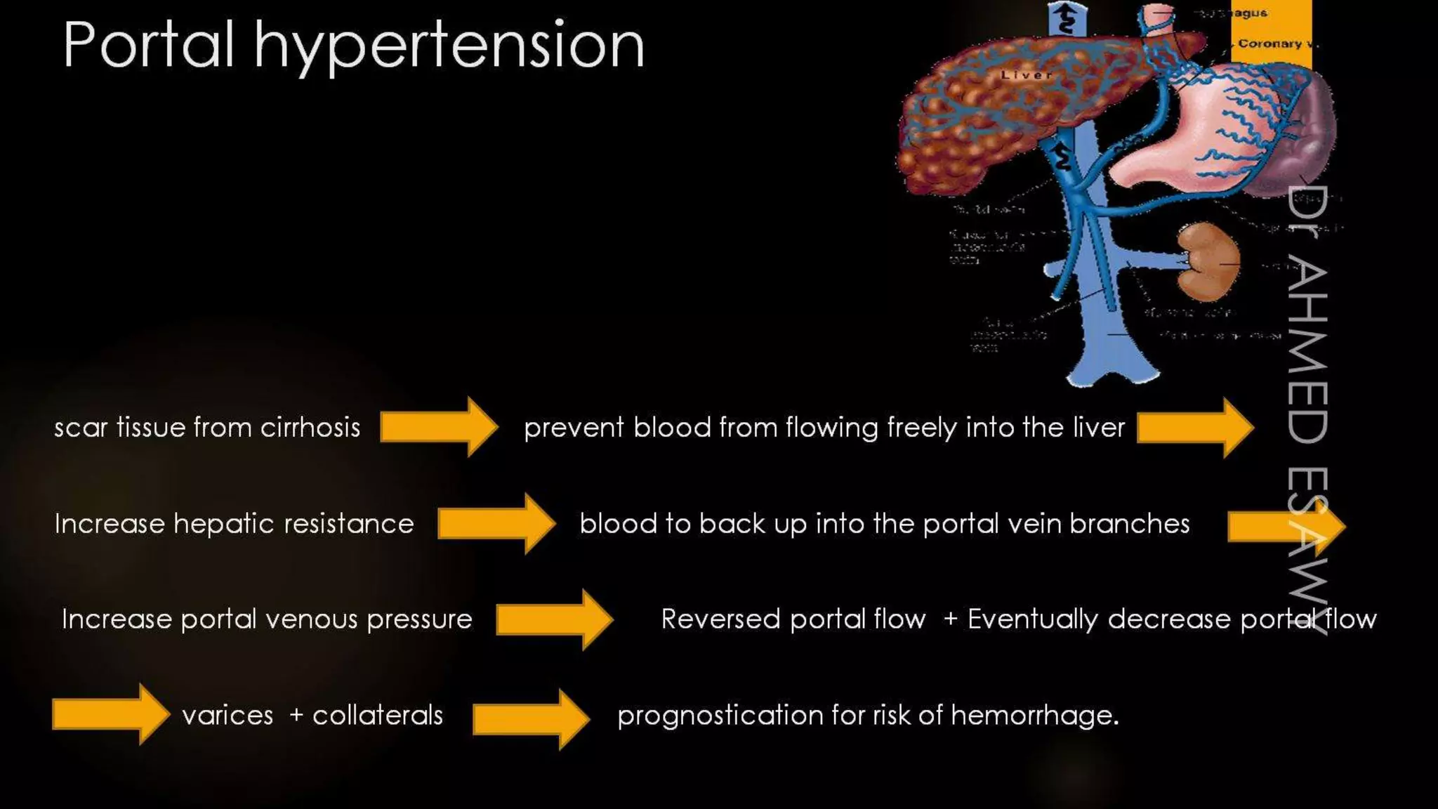 Ultrasound diffuse liver disease all things fibrosis,cirrhosis,us ...