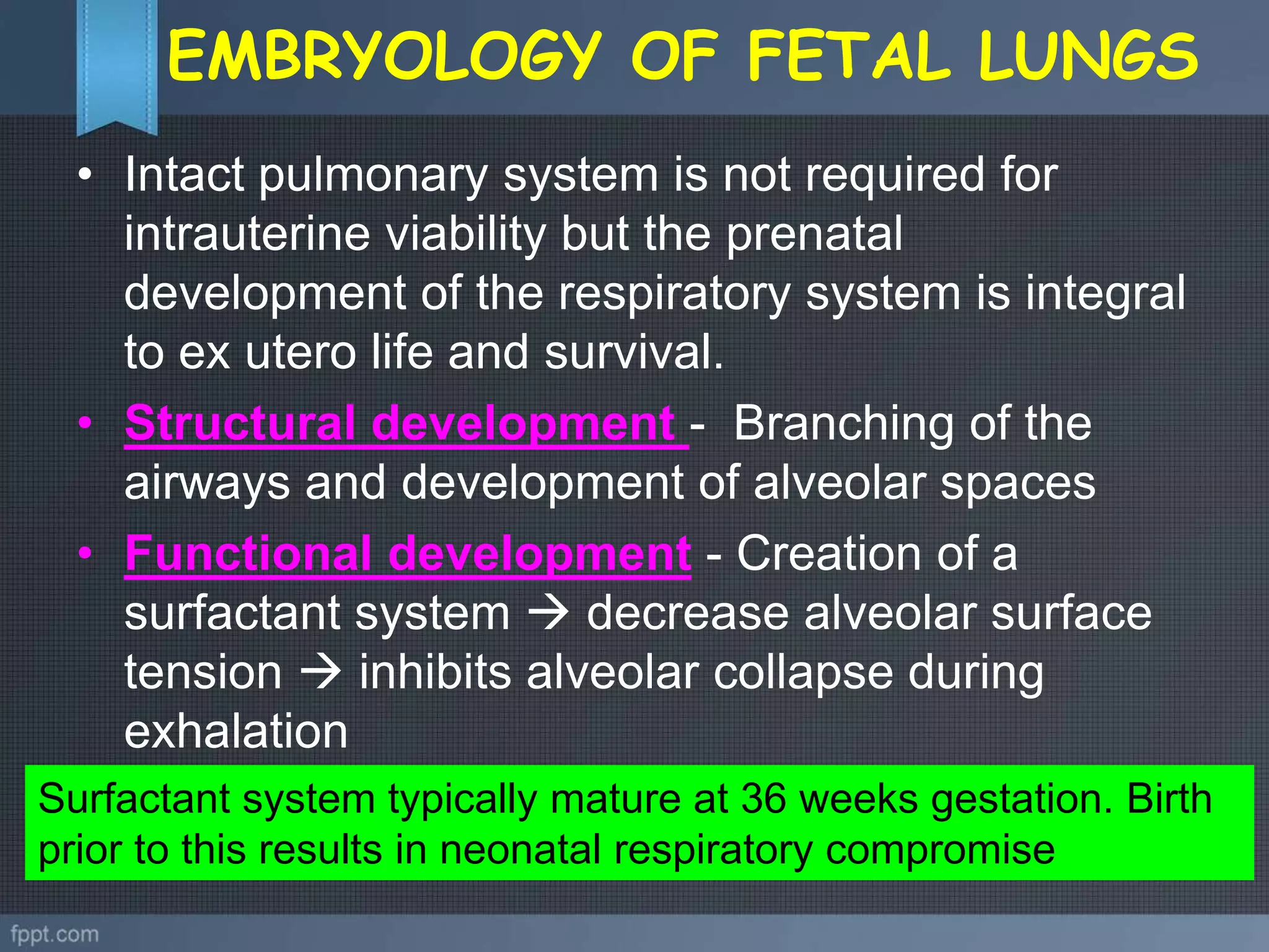 Ultrasound evaluation of fetal thorax | PPT
