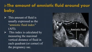 Ultrasound examination of the third trimester of pregnancy | PPTX