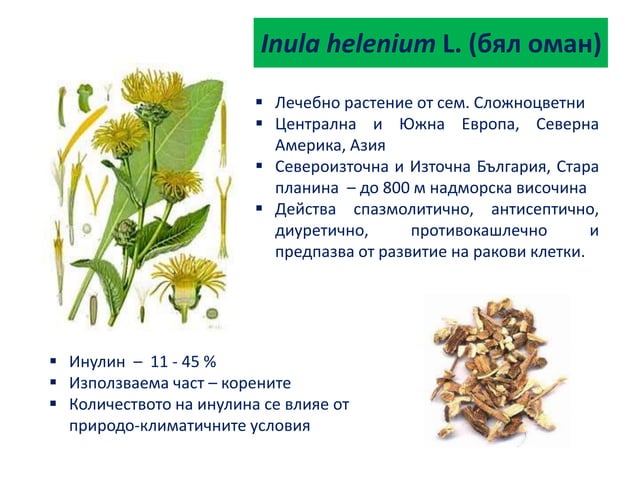 Ultrasound-assisted extraction and characterisation of inulin-type ...