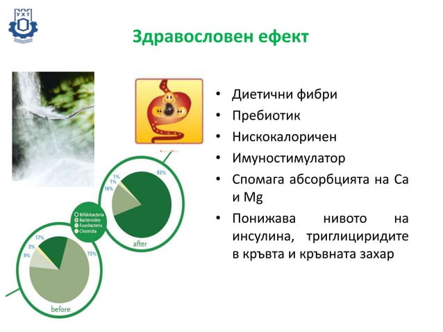 Ultrasound-assisted extraction and characterisation of inulin-type ...