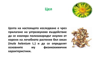Ultrasound-assisted extraction and characterisation of inulin-type ...