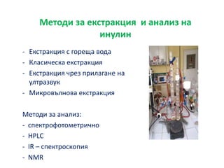 Ultrasound-assisted extraction and characterisation of inulin-type ...