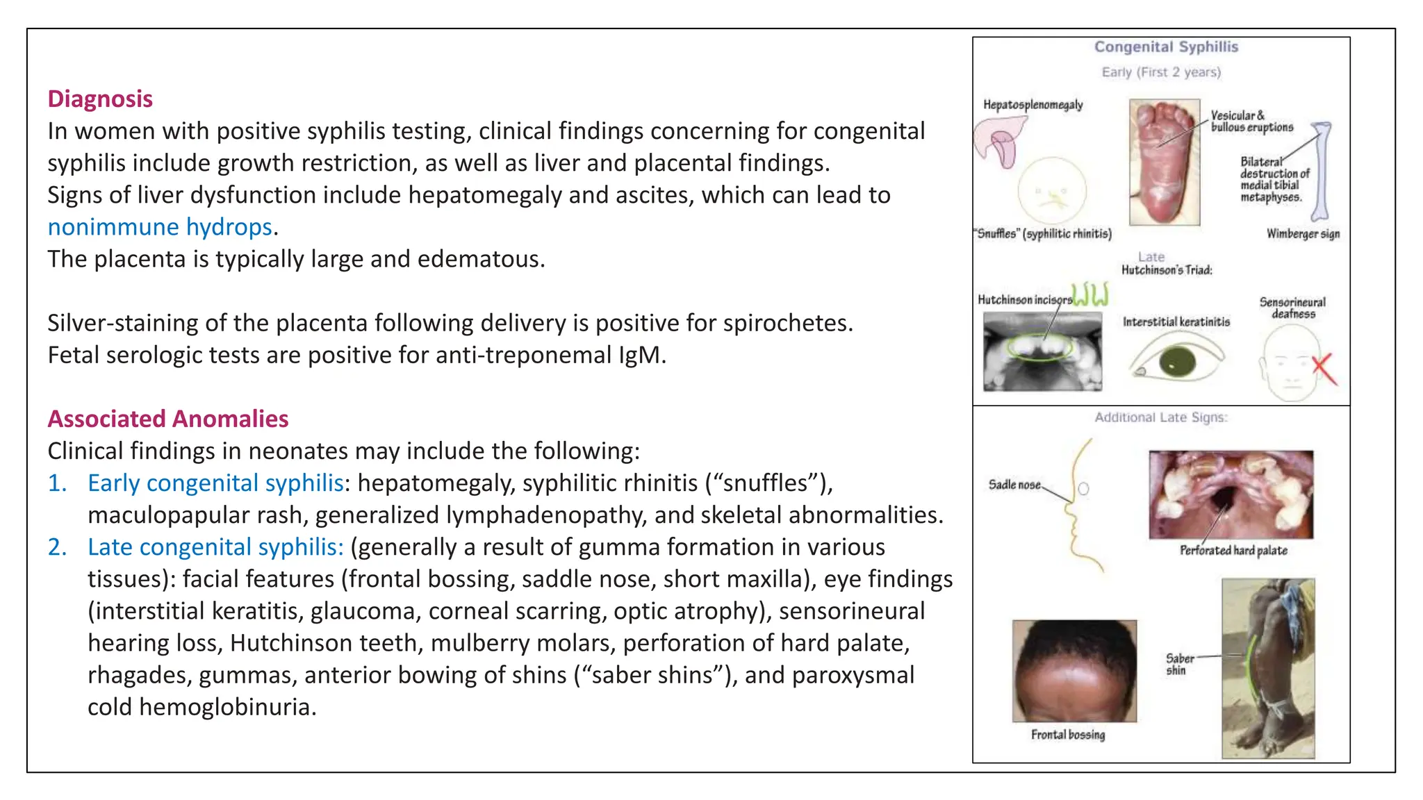 Ultrasound Features of Fetal Syndromes Part 1.pptx