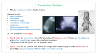 Ultrasound Features Of Fetal Syndromes Part 1 Pptx