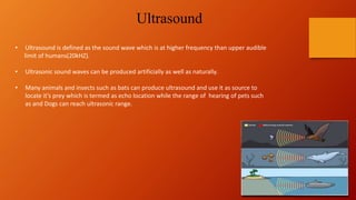 Ultrasound final.pptx
