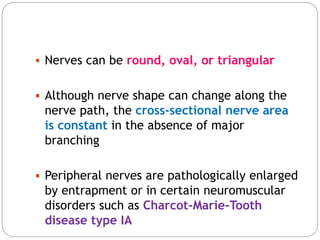 Ultrasound guided regional anesthesia.pptx