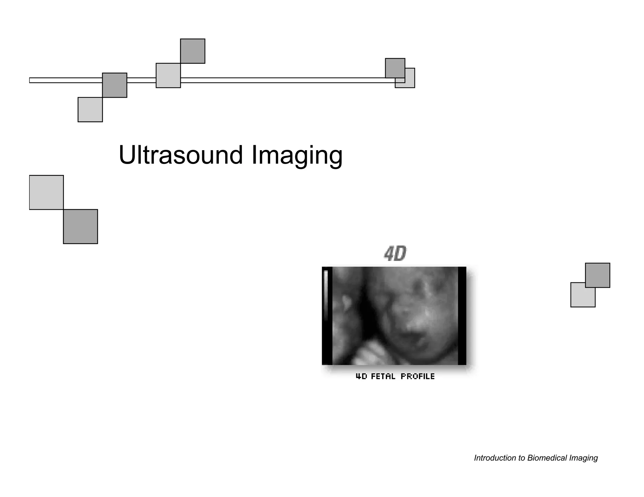 Introduction To Biomedical Imaging Pdf