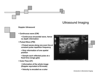 Introduction to Biomedical Imaging | PDF