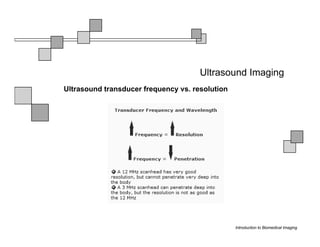 Introduction to Biomedical Imaging | PDF