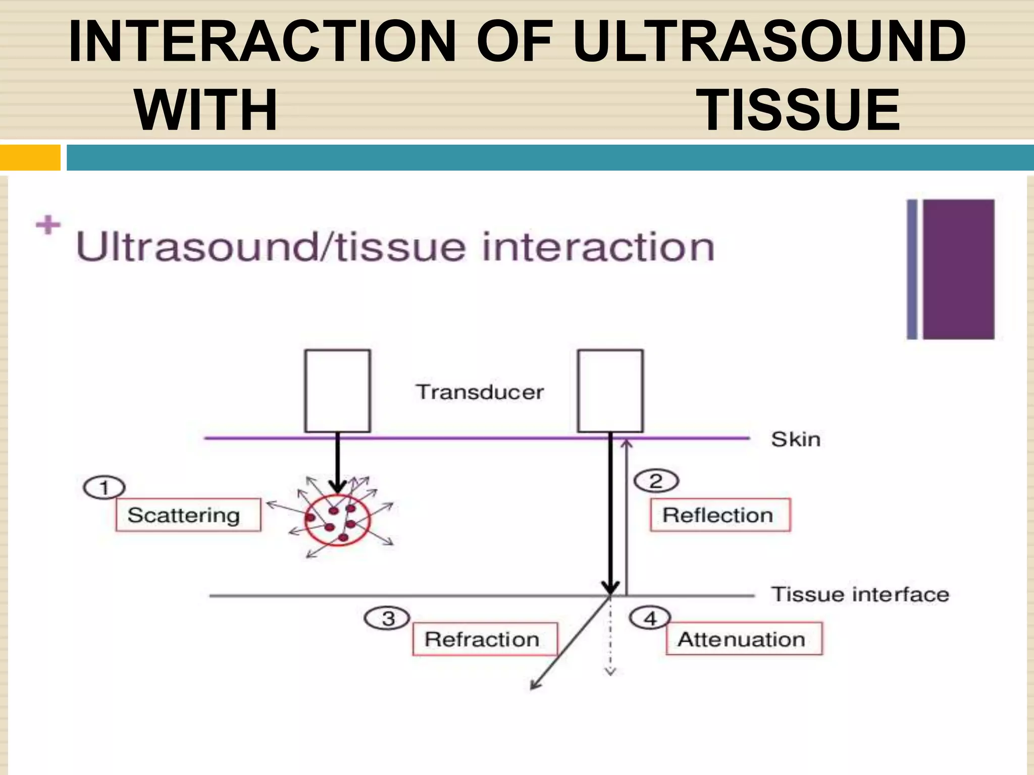 Ultrasound imaging | PPTX