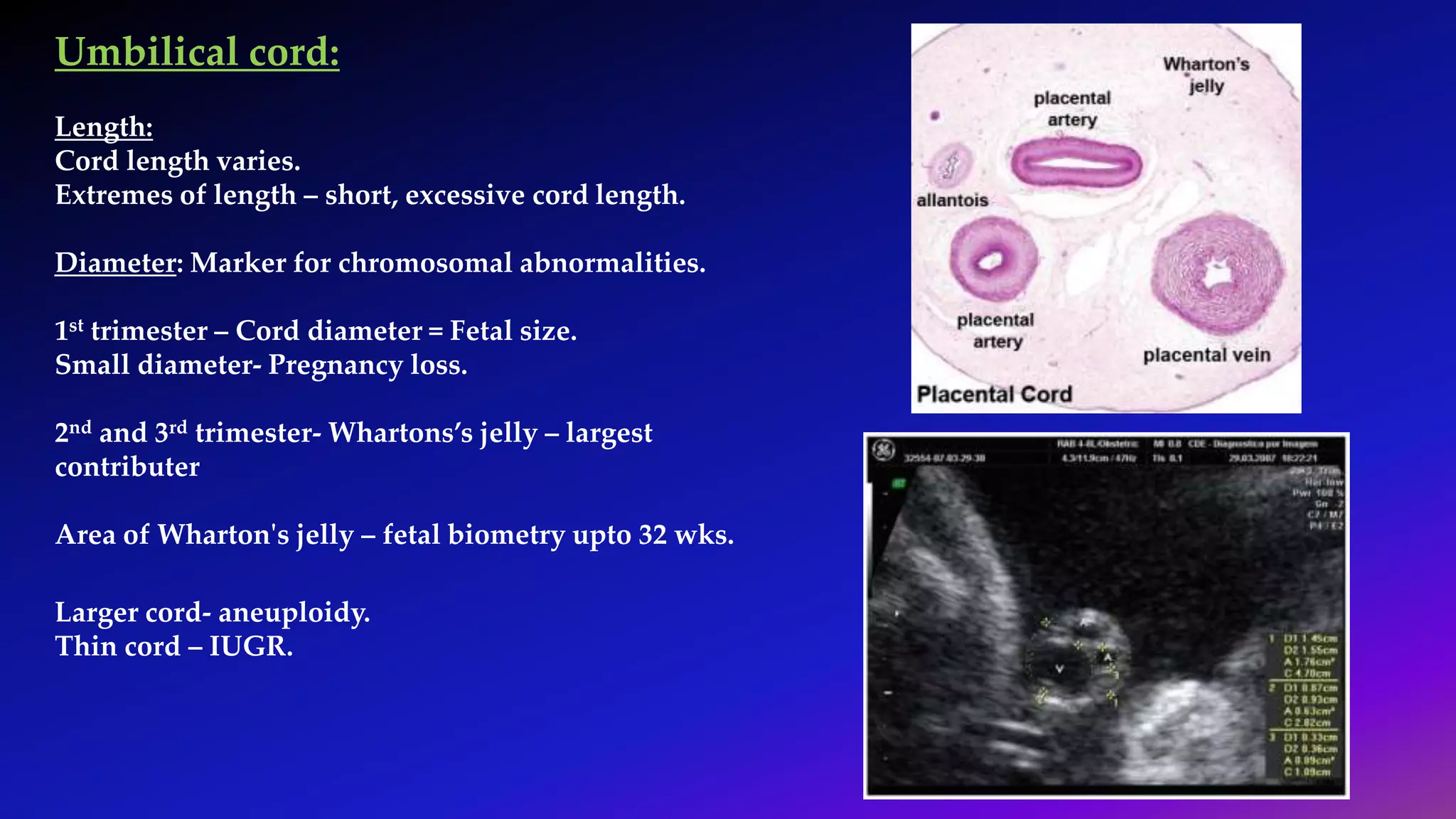 Ultrasound Imaging of Placenta | PPTX