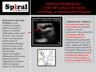 Ultrasound november 17 | PPTX | Pregnancy | Reproductive Health