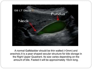 Ultrasound of gall bladder | PPTX