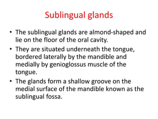 Ultrasound of salivary glands | PPTX