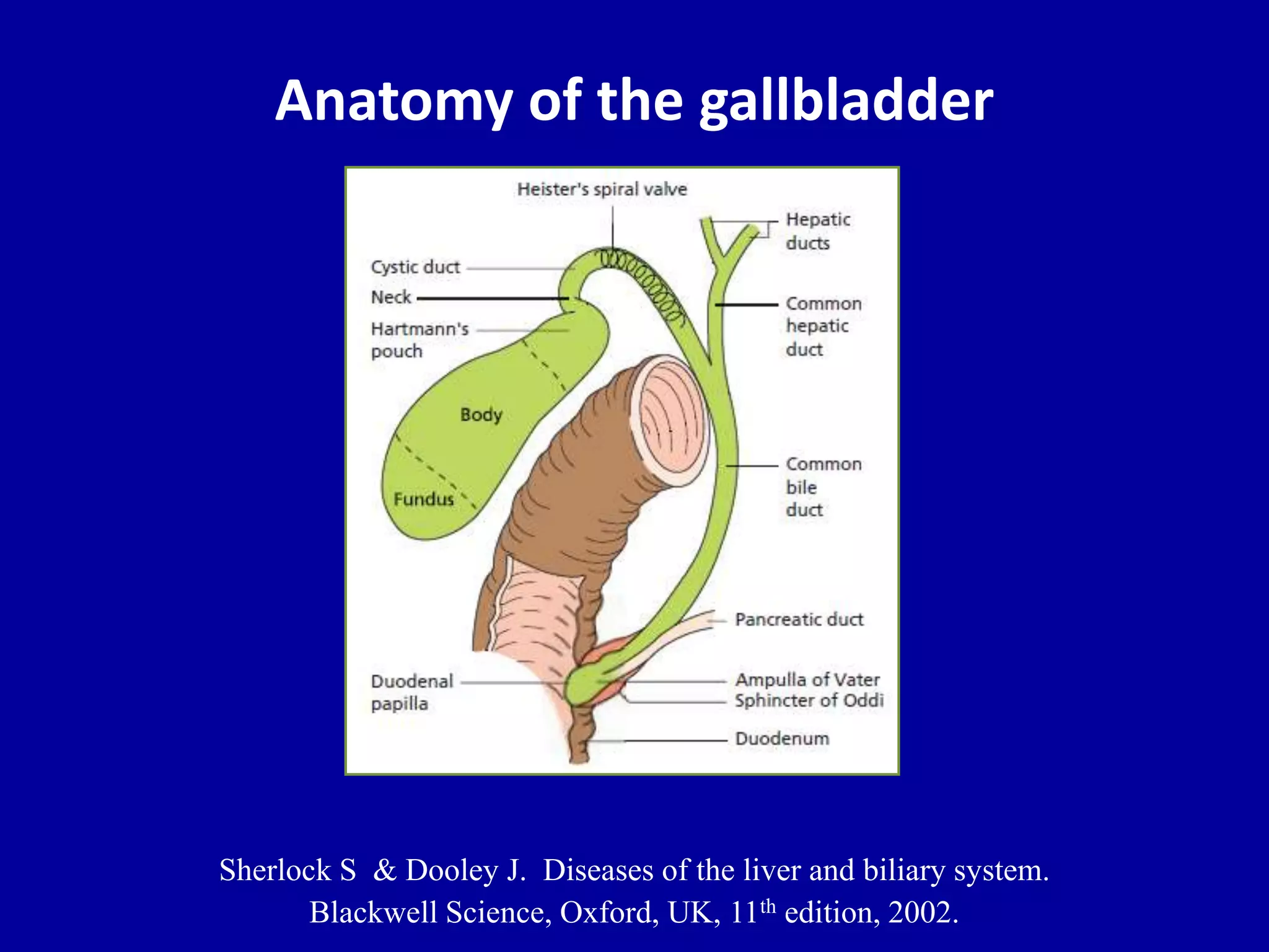 Ultrasound of the gallbladder | PPTX | Digestive Disorders | Diseases ...