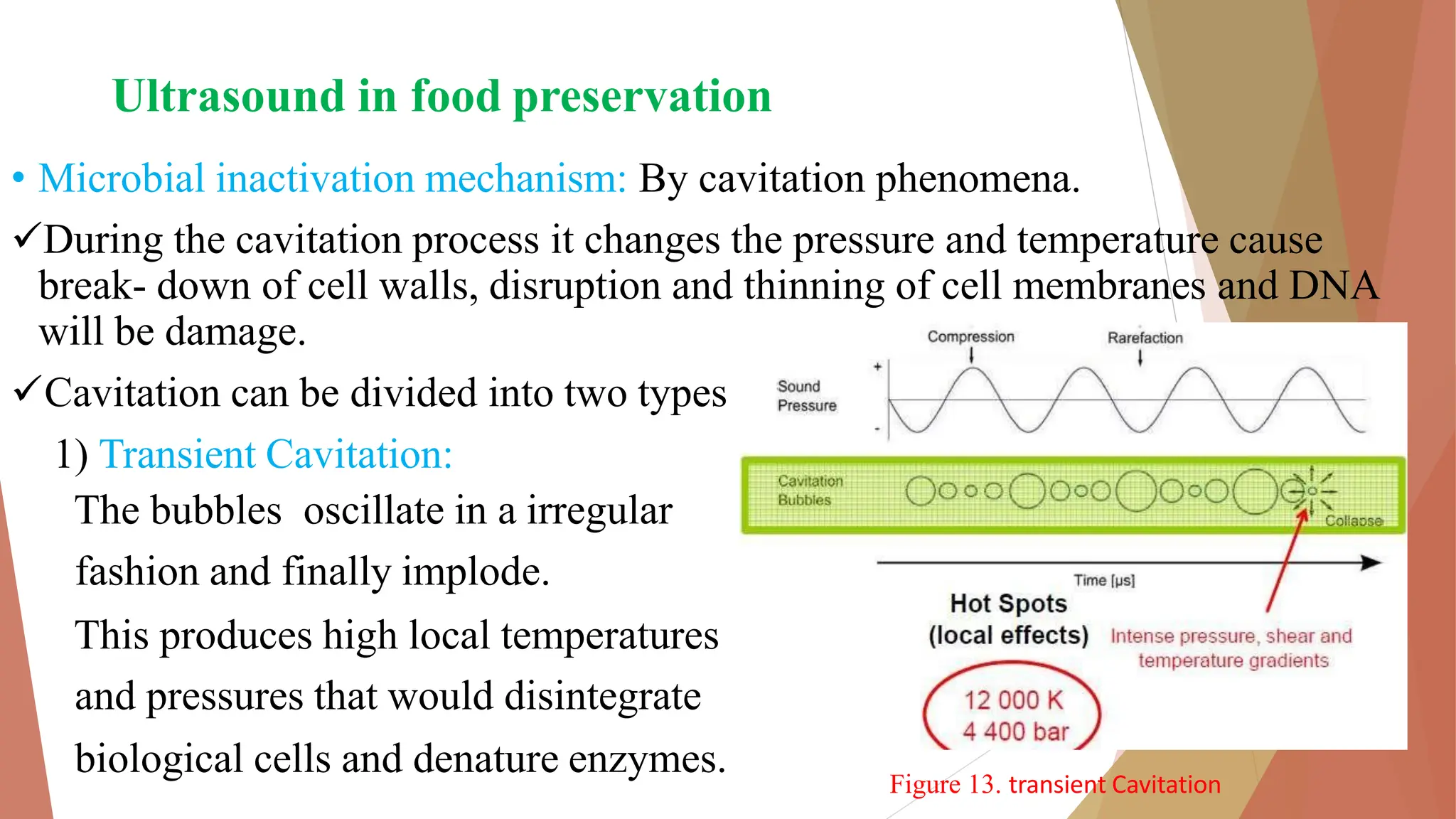 Ultrasound or Sonication Technology in Food Processing-2-30.pdf