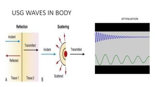 Ultrasound physics | PPTX