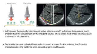 ULTRASOUND PHYSICS. power point presentationpdf | PDF
