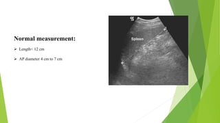 Ultra sound physics CMU.pptx