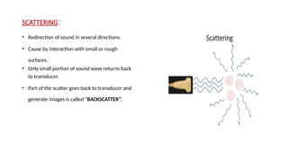 ULTRASOUND PHYSICS PPT 2.pptxhhhhhhhhhhhh | PPTX