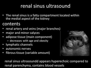 Renal Sinus Ultrasound