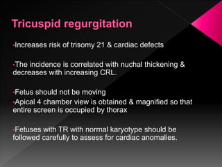 Ultrasound in obstetrics | PPTX