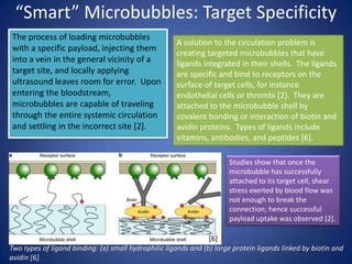 Ultrasound Targeted Microbubble Destruction Research Project | PPTX