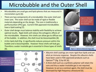 Ultrasound Targeted Microbubble Destruction Research Project | PPTX