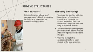 Ultrasound real time for carcass and live animal evaluation | PPT