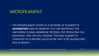 Ultrastructure and function of cytoskeleton | PPT