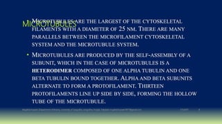 Ultrastructure and function of cytoskeleton | PPT